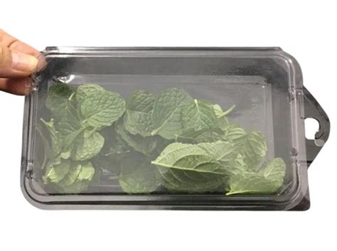 Herb Clamshell Packaging Herb Clamshell Container Manufacturer