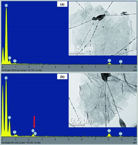 EDX Spectra And TEM Images Of A RGO And B SRGO Download Scientific Diagram