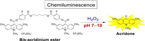 Strong Chemiluminescence Intensities Of Bis Acridinium Esters Under