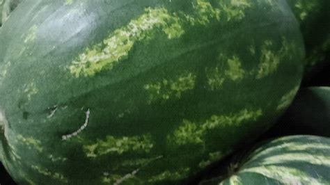 Abderrahim El Khalfi On Linkedin 🍉🍉🍉2️⃣0️⃣2️⃣2️⃣🍉🍉🍉