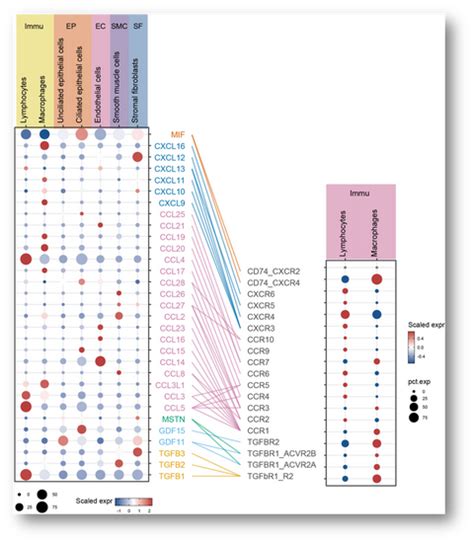 复现science图表：细胞通讯受配体配对连线表达图（cellchat、cellphonedb） 知乎