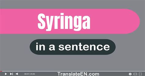 Syringa In A Sentence