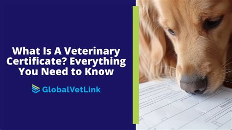 Tvma Member Benefit Globalvetlink