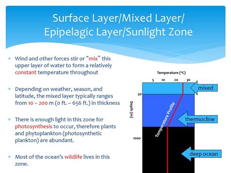 Lesson 7 Ocean Layers Ii Physical Oceanography Ppt Download