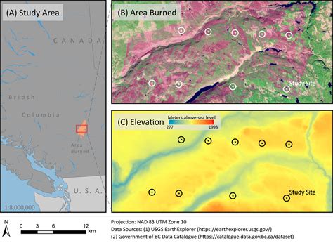 Frontiers Assessing The Effects Of Burn Severity On Post Fire Tree