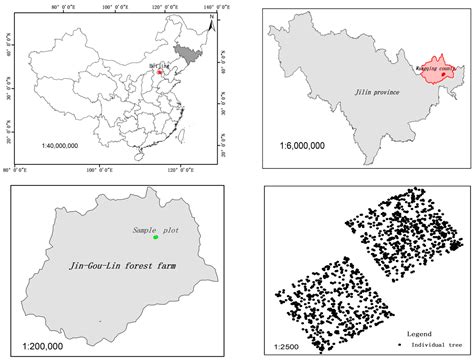 Simulation Of Thinning By Integrating Tree Competition And Species Biodiversity For Target Tree