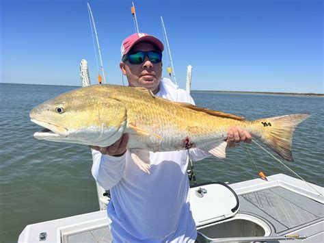 Reel Shot Guide Service Added A Reel Shot Guide Service