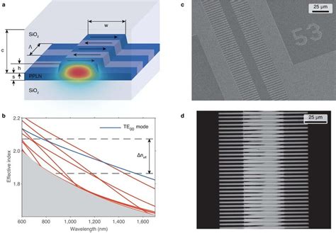 Periodically Poled Lithium Niobate Waveguide Design A Schematic Of A Download Scientific