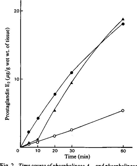 Figure 2 From Stimulation Of Prostaglandin E2 Synthesis By Exogenous