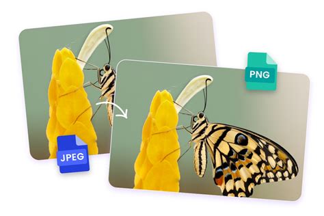 Free Png To Jpeg Converter Convert Png To Jpeg Online Fotor
