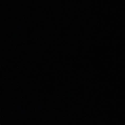 Lily Youtube