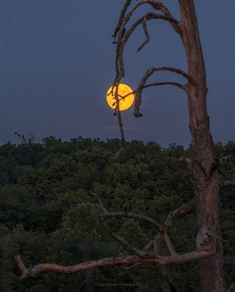 July Full Moon On Behance