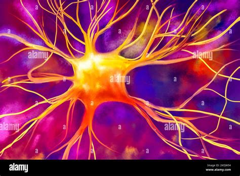 Nerve Cell Illustration Stock Photo Alamy