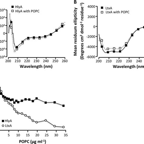 E Coli Hemolysin Induces Atp Release From Human Erythrocytes Atp