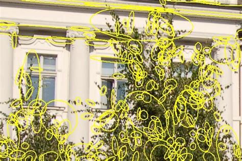 vegetation segmentation for boosting performance of mser feature