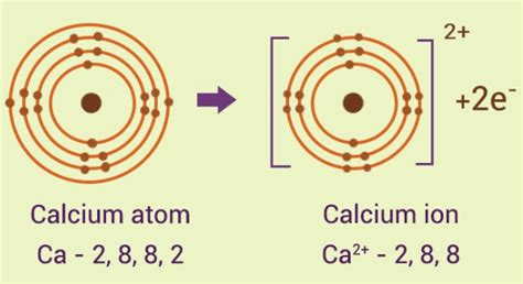 Atoms And Molecules Class 9 Notes Chapter 3 Highlights