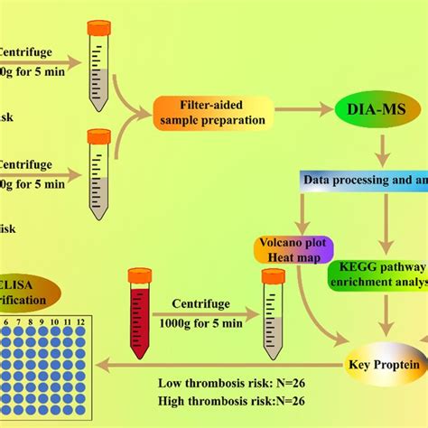 Workflow Of Dia Ms Analysis On Plasma Samples From Orthopedic Surgery
