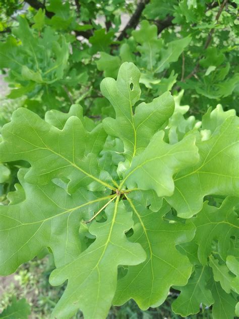 Нота Сердца Нота Сердца Added A New Photo