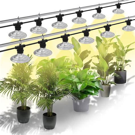 Outdoor Greenhouse With Grow Lights At Jai Patrick Blog