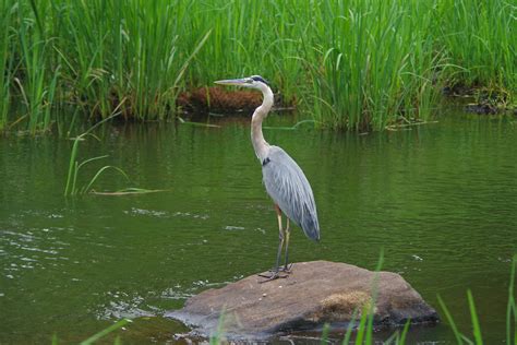 Imgp1921e Wayne Hardesty Flickr