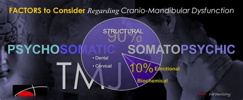 5 Key Principles Of Physiologic Occlusion Occlusion Connections