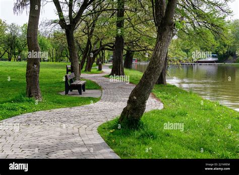 Landscape With Alley And Many Large Old Trees And Green Grass On The