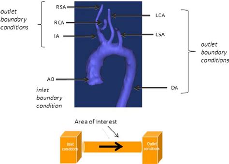 Inlet Aortic Root And Outlet Great Vessels Boundary Conditions For