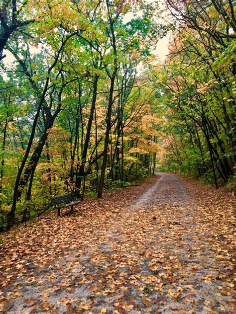 Jeel Gajera On Linkedin 75hardchallenge