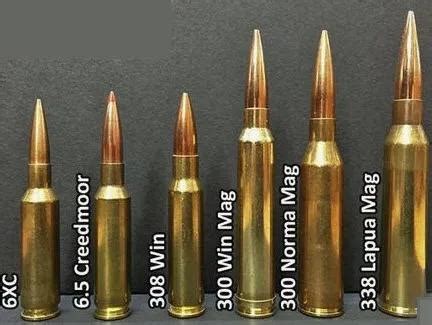 Unleash The Power Of 6 5 Creedmoor Top Rifle Picks American Firearms