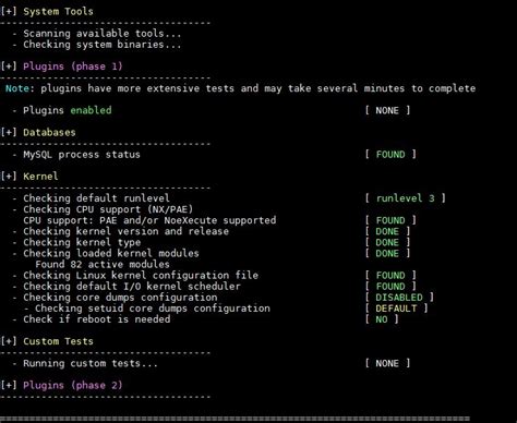Lynis Automated Security Auditing Tool For Linux Servers