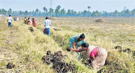 Parliament Panel Slams Govt For Keeping Mgnregs Funding Static At Rs 86 000 Crore Since 2023 24