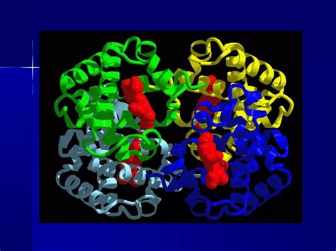 Oxygen Dissociation Curve Ppt