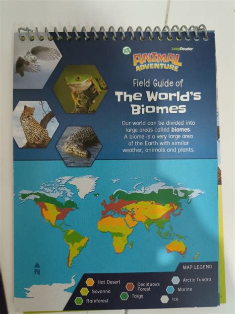 Leapfrog Leapreader Leap Reader Set Hobbies And Toys Books And Magazines