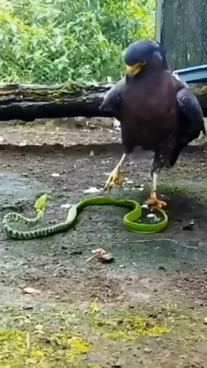 Happiness Samuel On Linkedin Learn To Manage Risk