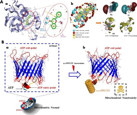 In Silico Approaches To Assess The Toxicity Of Nanomaterials A In
