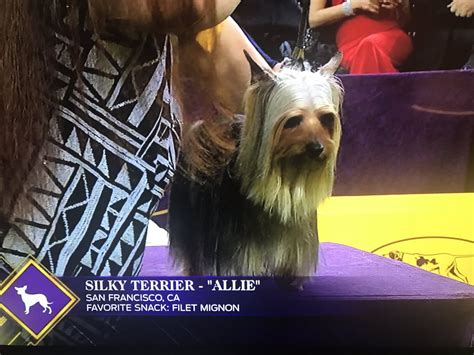 Conor Mcdaid Mcdaid23 Twitter