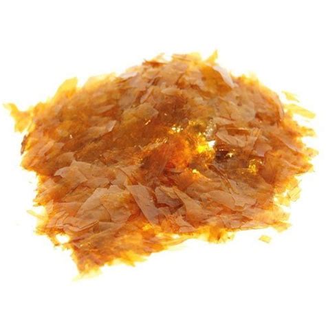 Shellac Lac Bug Latest Price Manufacturers And Suppliers