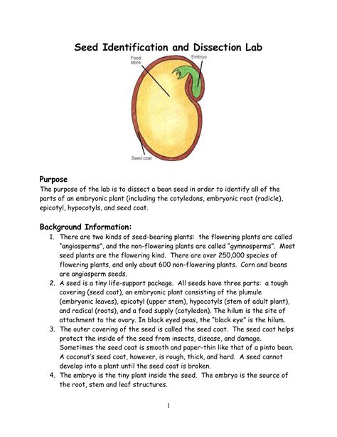 Seed Identification And Dissection Lab Purpose