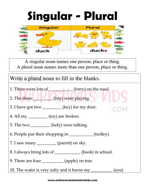 Plural Nouns Worksheet 2nd Grade