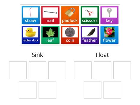 Questions Of Density Sink Or Float In Water Group Sort