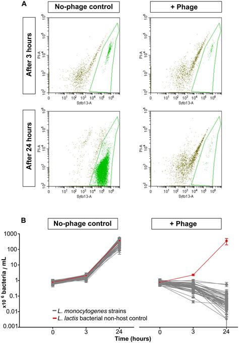 Frontiers Susceptibility Profile Of Clinical And Food Associated