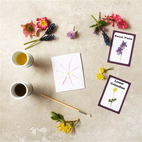 Catkin And Co Catkin And Co Added A New Photo — In York