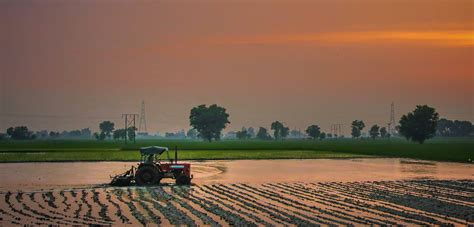 Useful Smart Irrigation Sensors In Agriculture