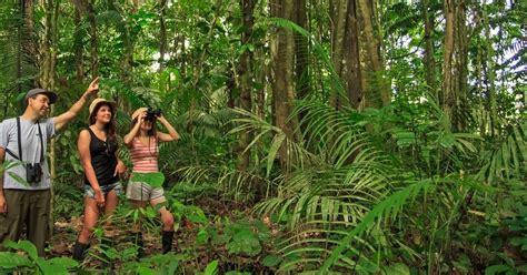 4 Días Excursión Premium A La Selva De Tambopata Getyourguide