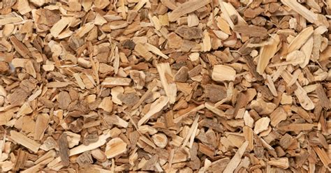 Fringe Tree Bark Chionanthus Virginicus Top Quality Herbs And Tinctures