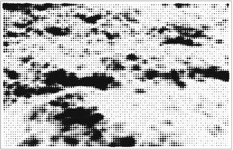 Resulting Frit Pattern Generated From The Grasshopper Image Sampler