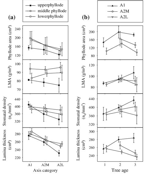 Phyllode Area Mass Per Unit Area Lma Stomatal Density And Lamina