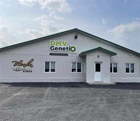 Blondin Sires The Bullvine