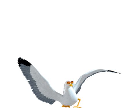 Funny Animated Seagull Party Dance Sticker 
