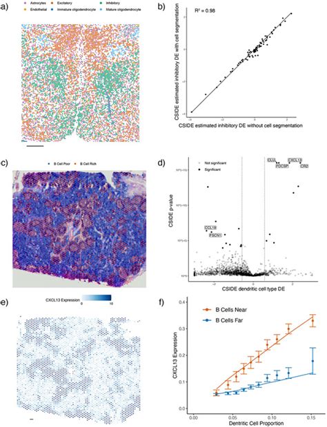 Cell Type Specific Inference Of Differential Expression In Spatial Transcriptomics Pmc